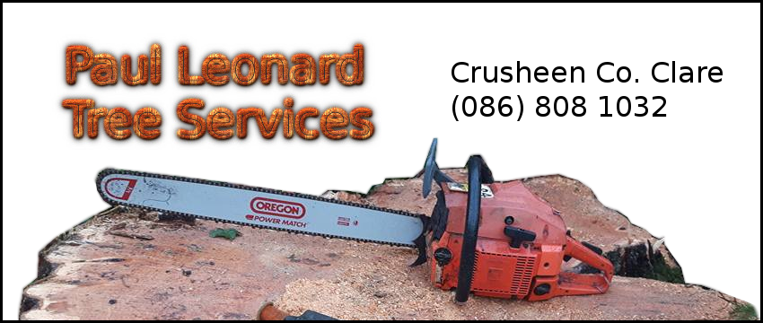 Paul Leonard Tree Services – Tree Surgery Cutting Hedge Trimming Height ...